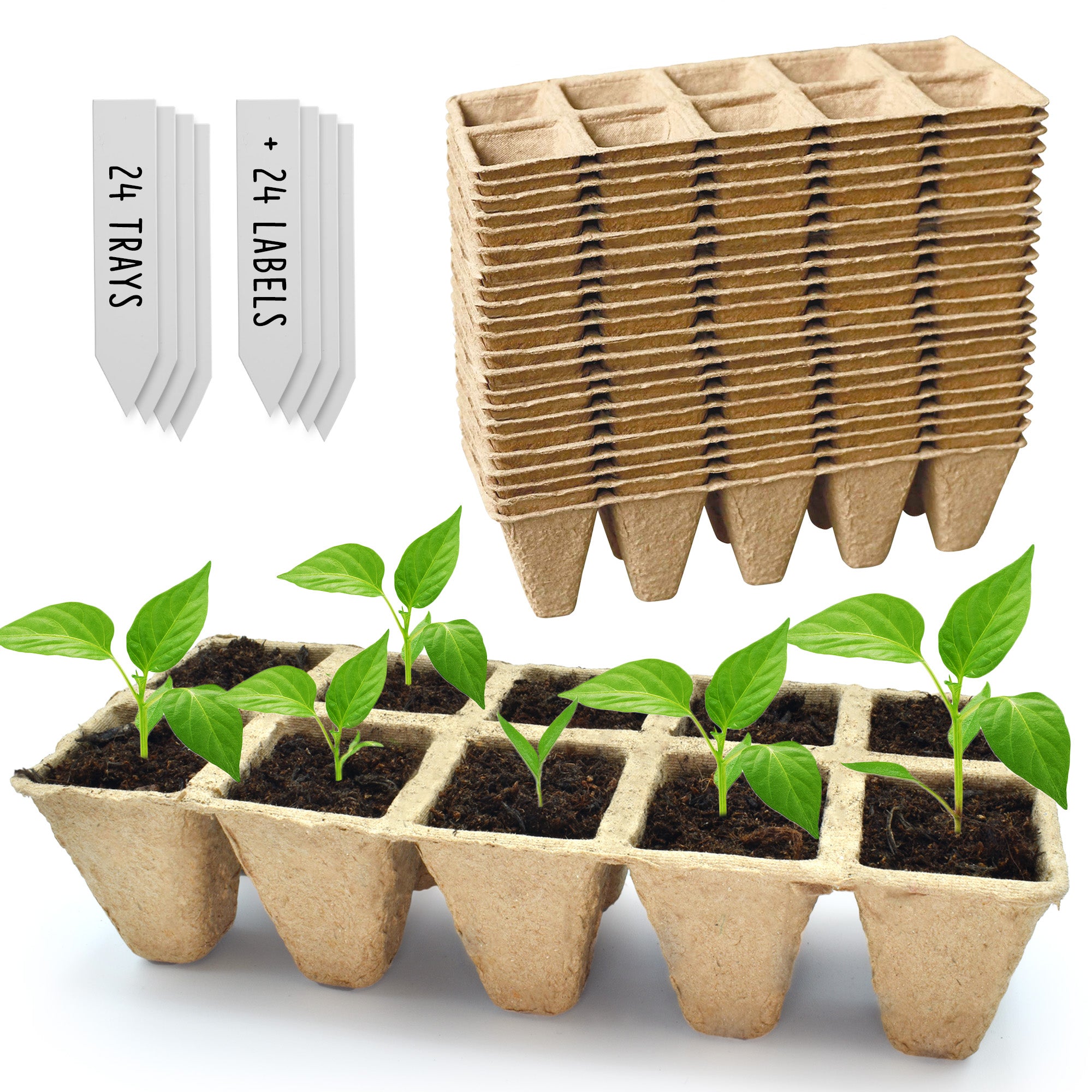 Biodegradable Seedling Starter Trays – Green Thumbz